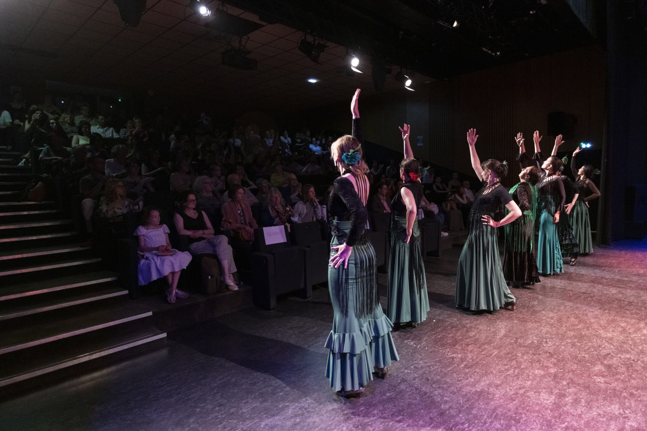 "PARIS SIN FRONTERA" SPECTACLE FLAMENCO